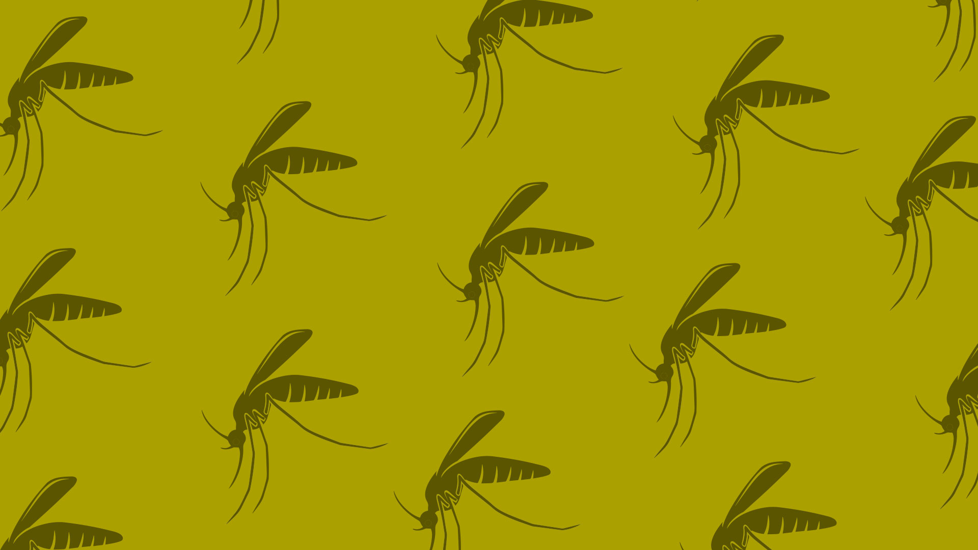 How To Prevent Malaria | LloydsPharmacy Online Doctor UK